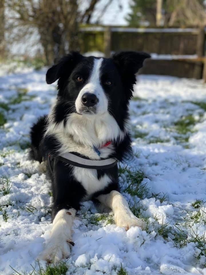 Celebrating 10 Marvellous Years of Face of Rooke’s | Rookes