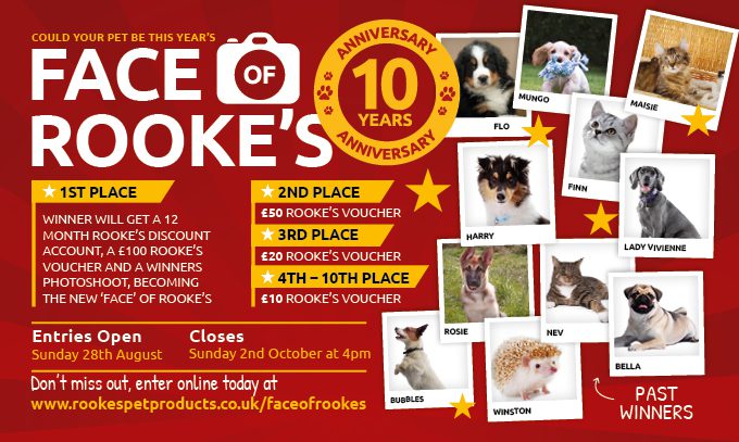Celebrating 10 Marvellous Years of Face of Rooke’s | Rookes